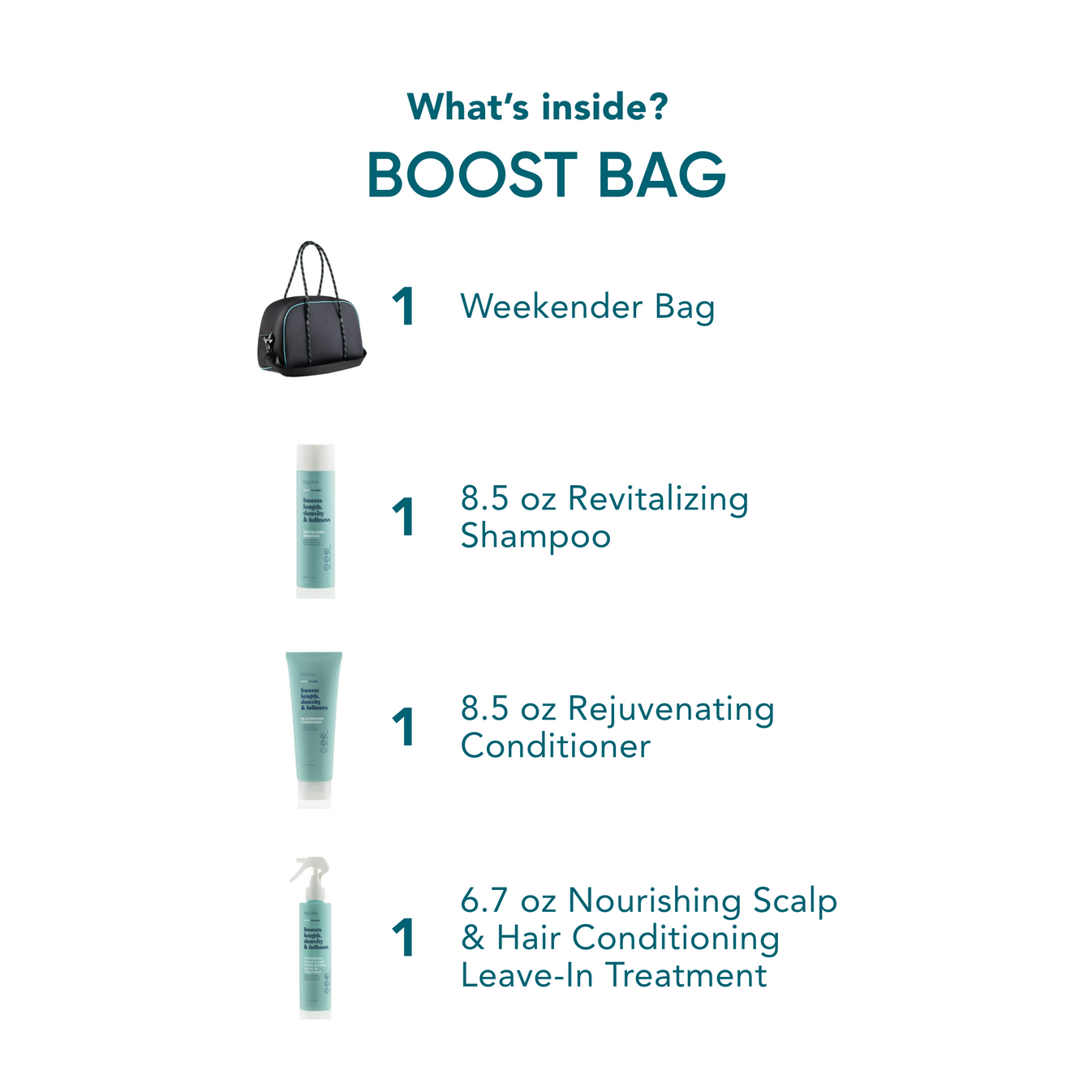 Boost Bag – RevAir